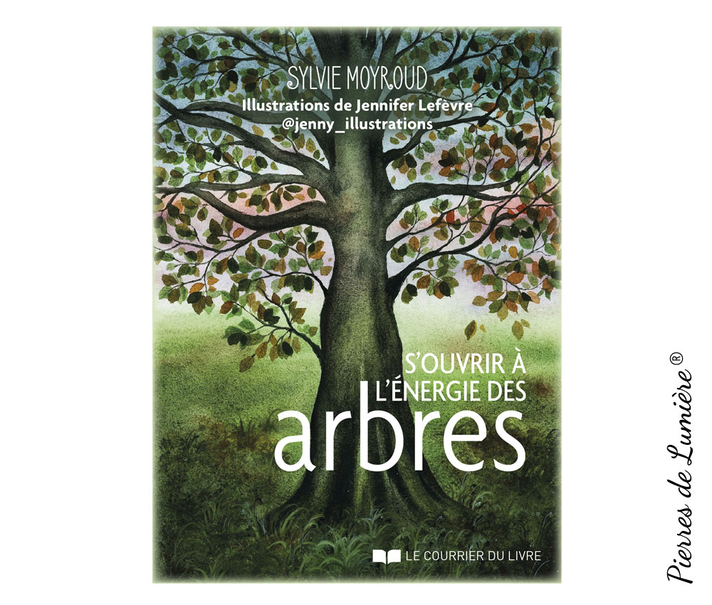 S'ouvrir à l'énergie des arbres - Pierres de Lumiere