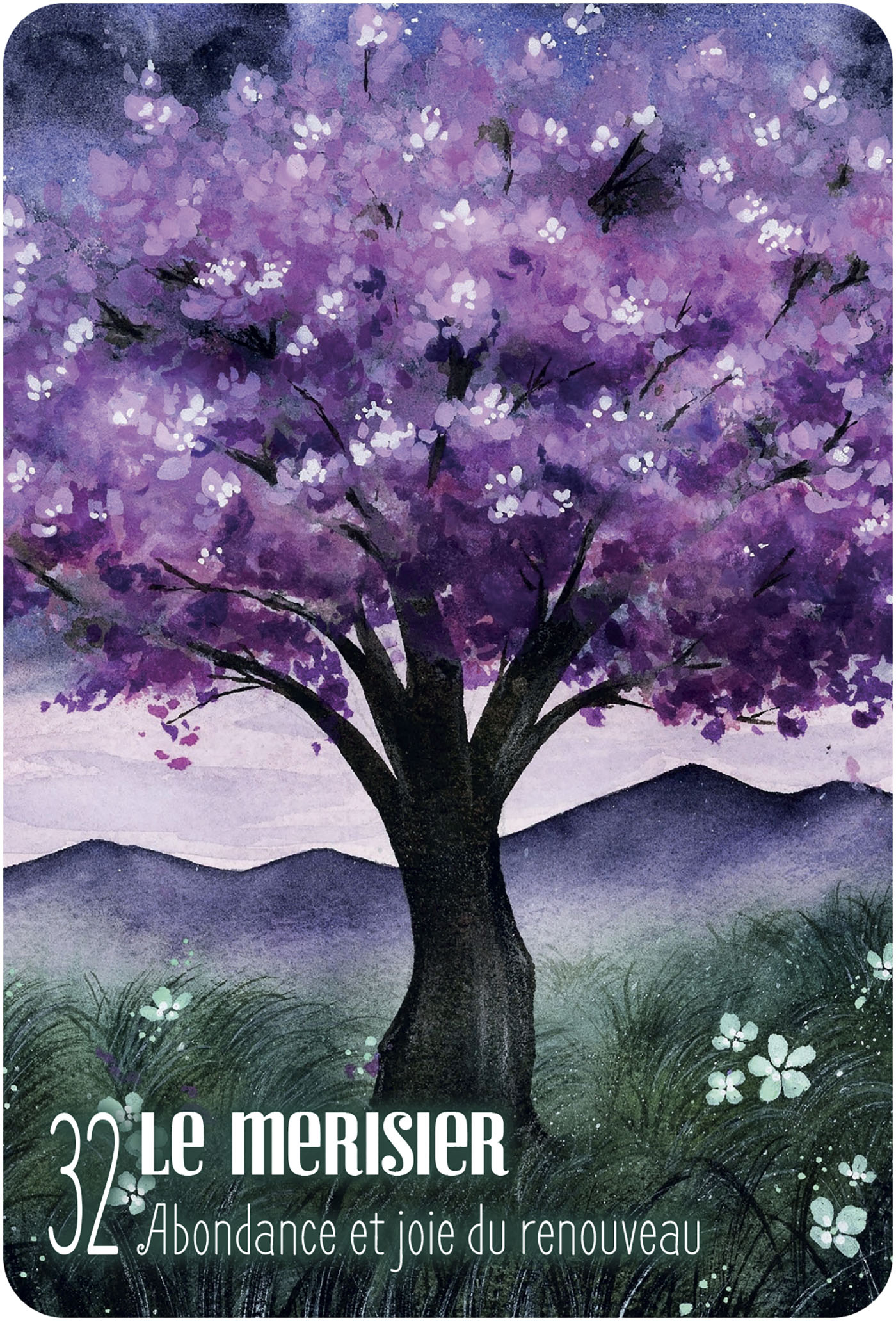 S'ouvrir à l'énergie des arbres - Pierres de Lumiere